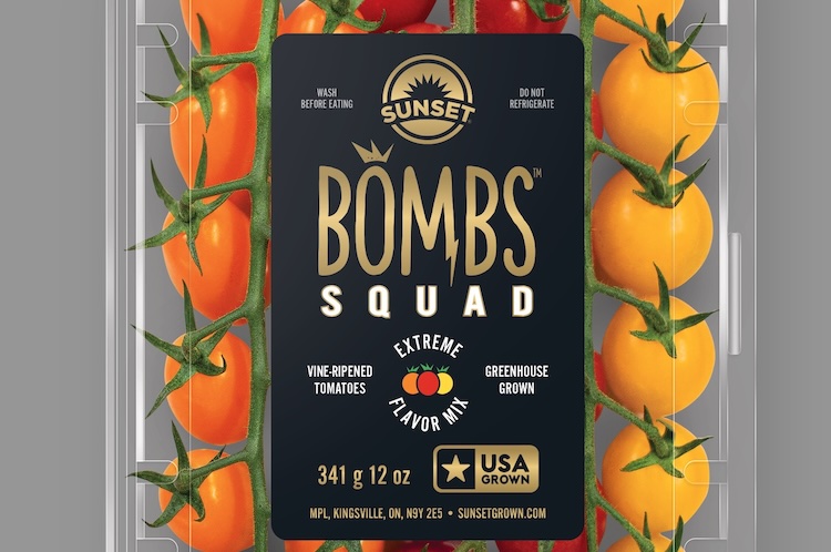Mastronardi Produce launches collection of snacking tomatoes on-the-vine | The Grower
